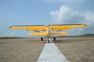 Seagull Models Shock Cub
