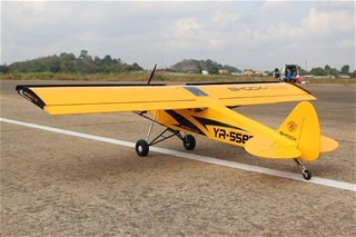 Seagull Models Shock Cub