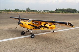 Seagull Models Shock Cub